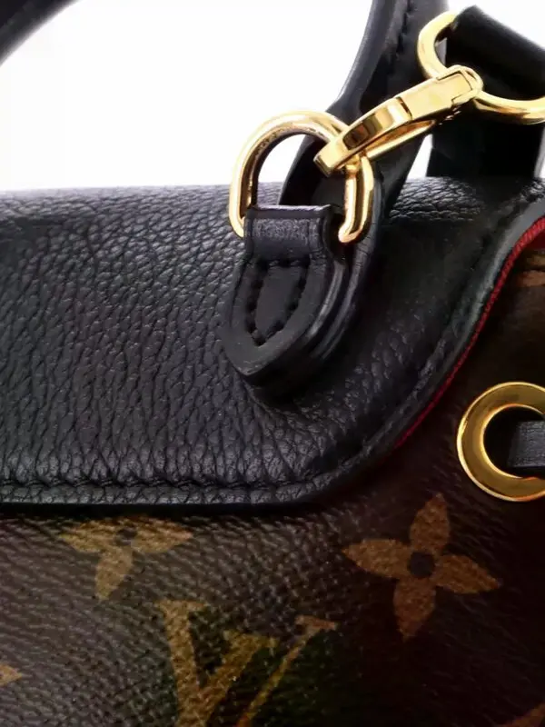 LOUIS VUITTON Montsouris Nm Monogram Canvas With Leather Backpack