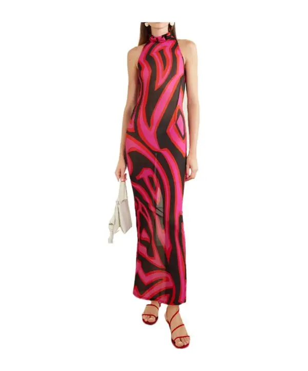 Emilio Pucci Printed Mesh Maxi Dress