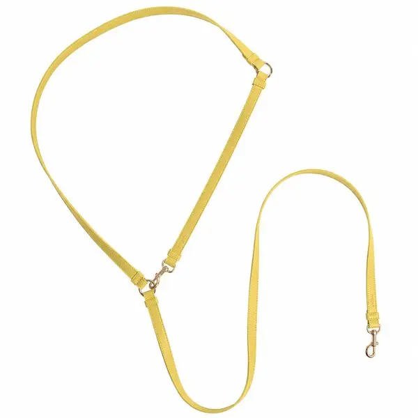ALECOO Classy Adjustable Dog Leash - Yellow