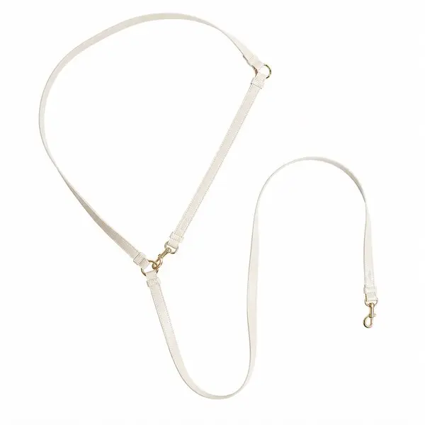 ALECOO Classy Adjustable Dog Leash - White