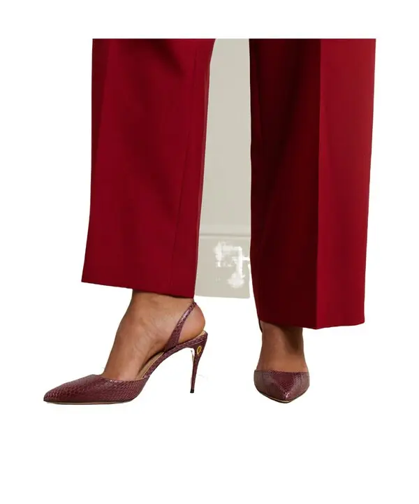Jennifer Chamandi Vittorio Elaphe Point-toe Slingback Pumps - Red