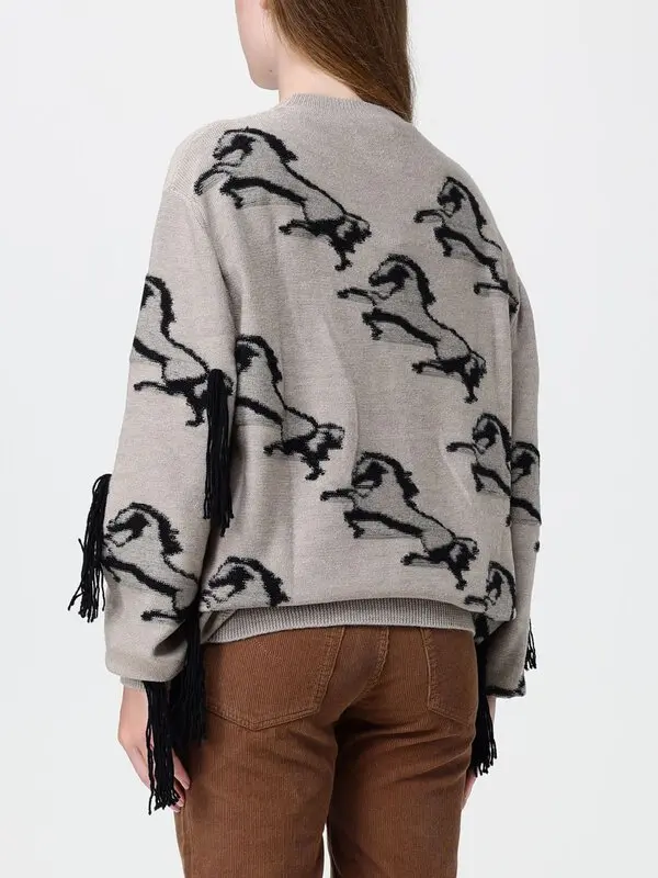 Stella McCartney Virgin Wool Crewneck Jumper With Fringes And Embroidery