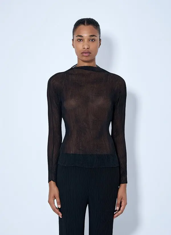 Issey Miyake Sheer Pleated Top