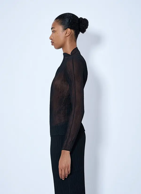 Issey Miyake Sheer Pleated Top
