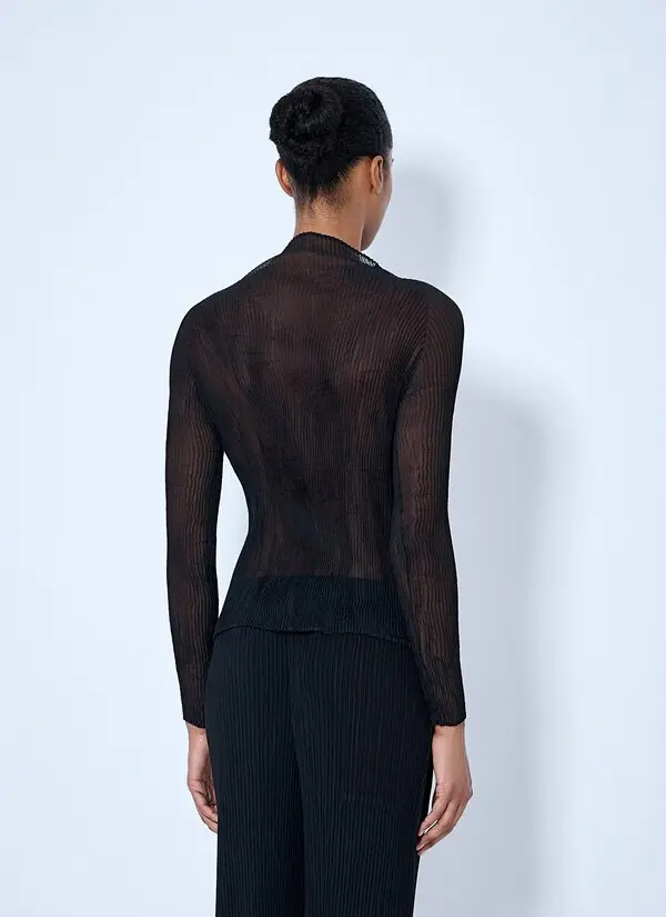 Issey Miyake Sheer Pleated Top