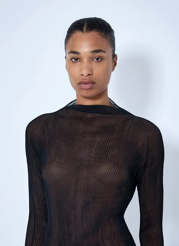 Issey Miyake Sheer Pleated Top