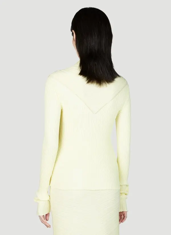 Bottega Veneta Long Sleeve Rib Top