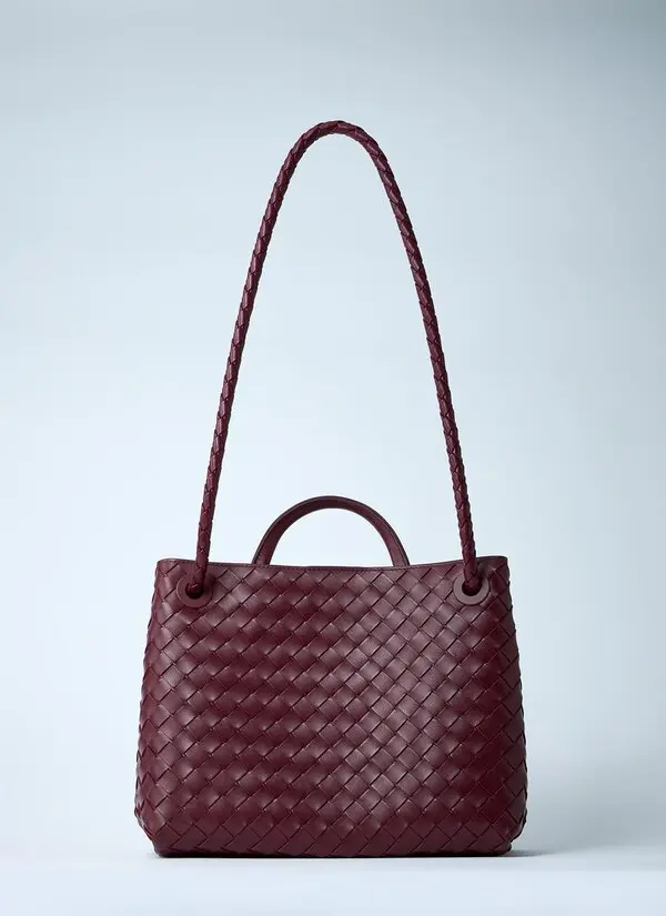 Bottega Veneta Medium Andiamo Handbag