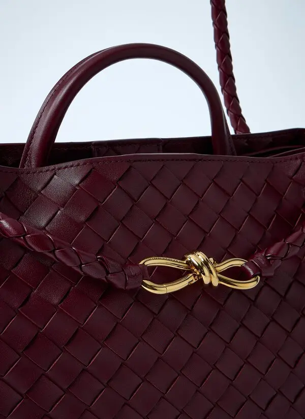 Bottega Veneta Medium Andiamo Handbag