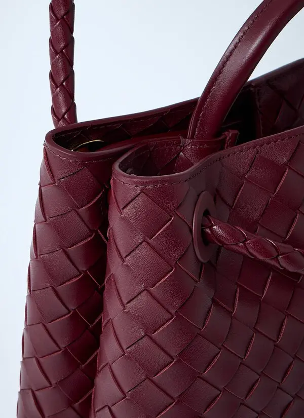 Bottega Veneta Medium Andiamo Handbag