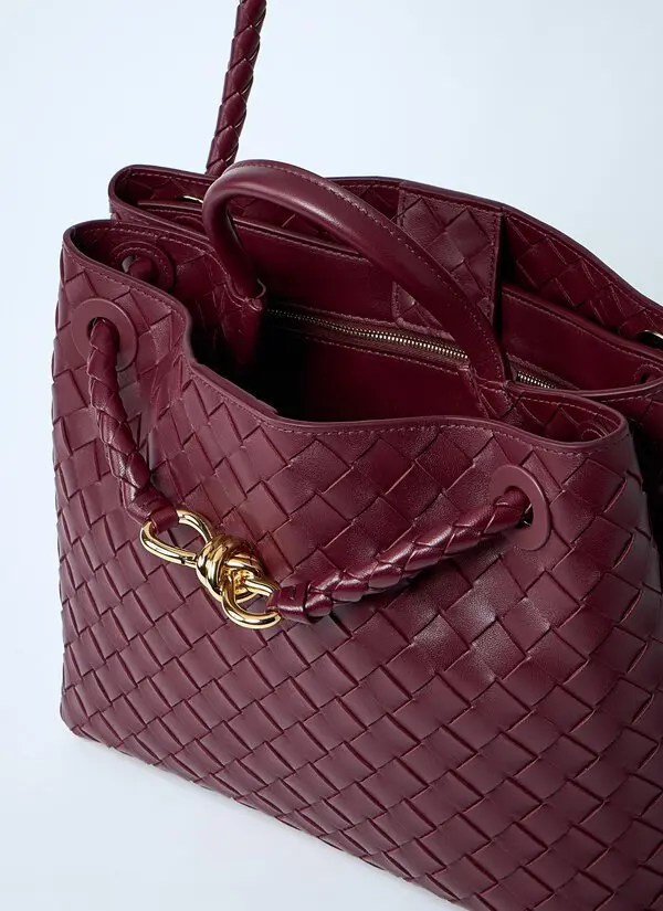 Bottega Veneta Medium Andiamo Handbag