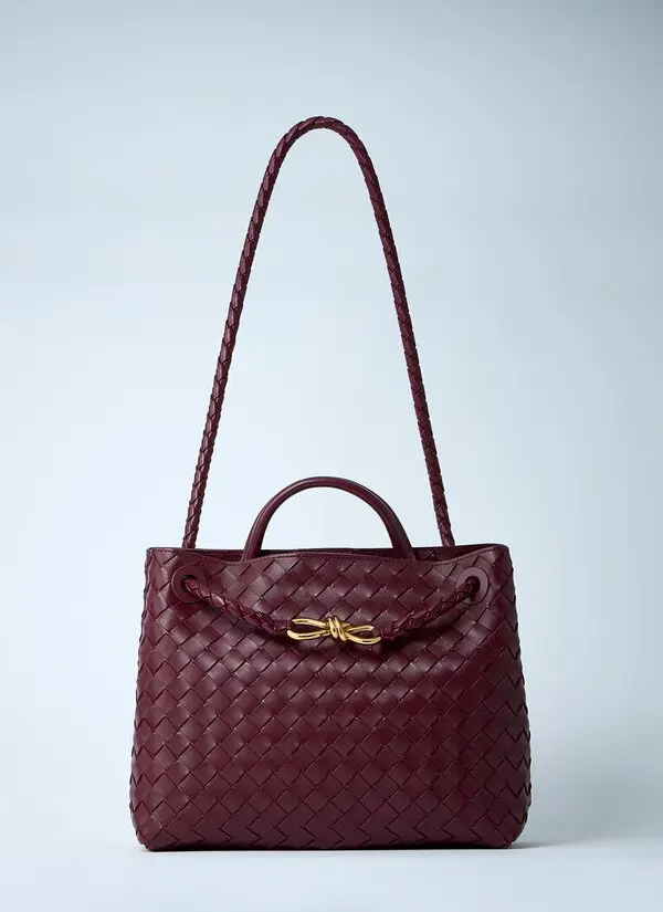 Bottega Veneta Medium Andiamo Handbag