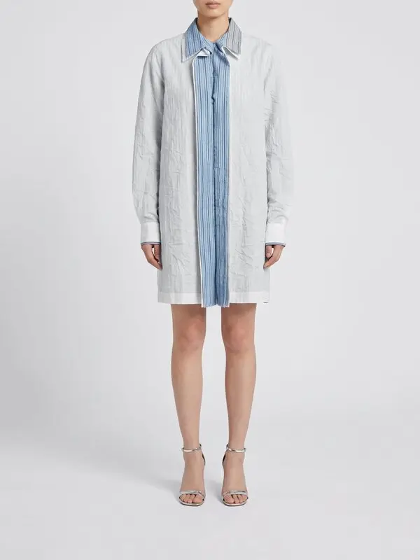 Loewe Cotton Shirtdress