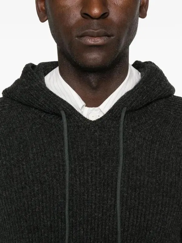 Tagliatore Wool Hooded Sweater - Multicolor