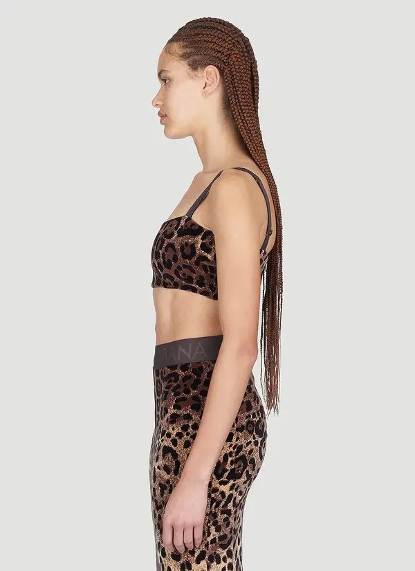 Dolce & Gabbana Leopard Print Crop Top - Brown