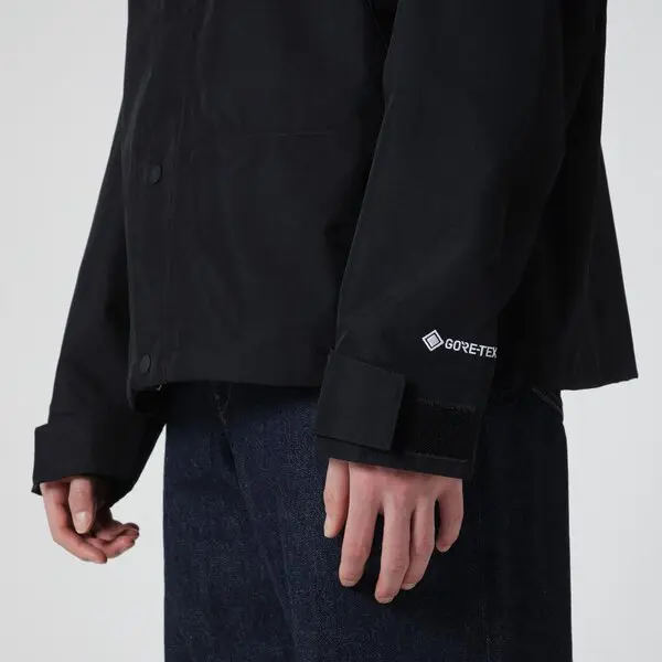 The North Face Gore-tex Mountain Jacket