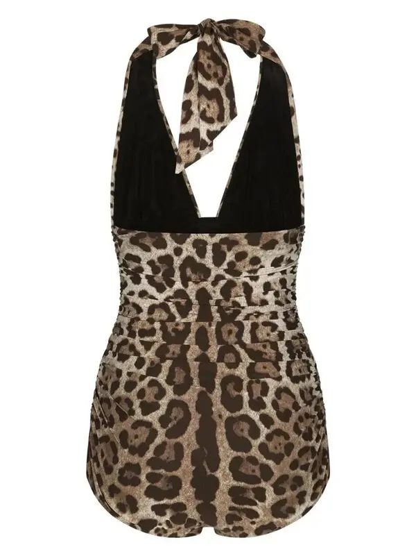 Dolce & Gabbana Leopard-print Swimsuit - Multicolor