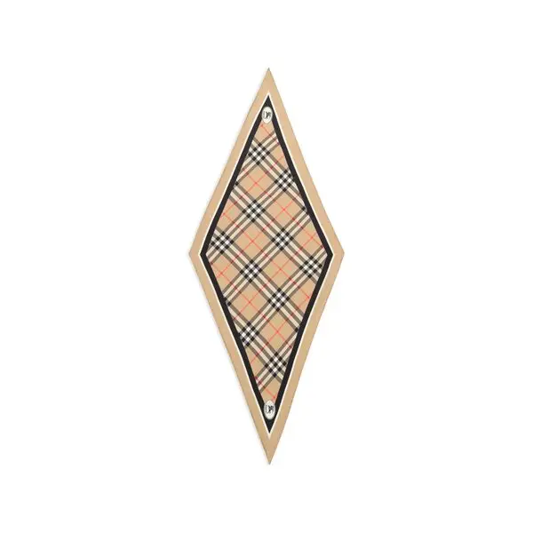 Burberry Neutrals Scarves