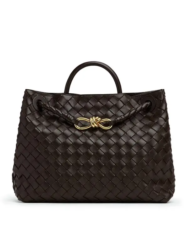 Bottega Veneta Medium Andiamo Bag - Brown