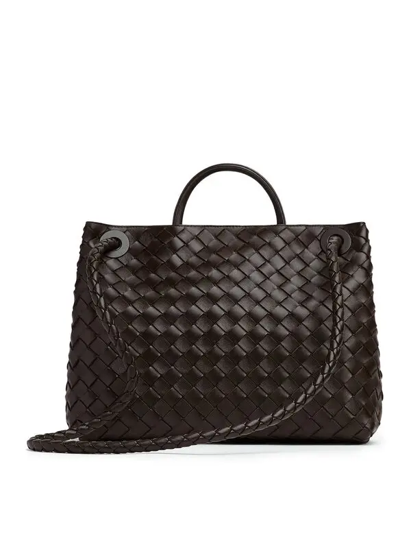 Bottega Veneta Medium Andiamo Bag