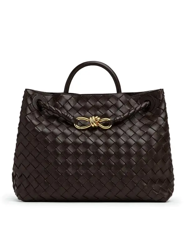 Bottega Veneta Medium Andiamo Bag - Brown