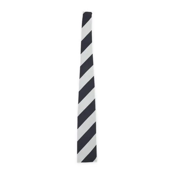 Celine 8.5x145cm Tie