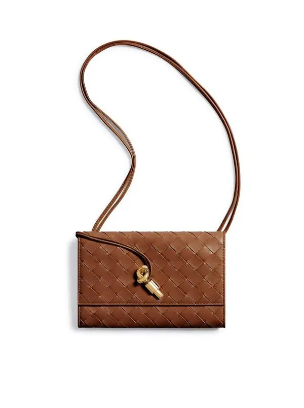 Bottega Veneta Pouch Andiamo - Multicolor