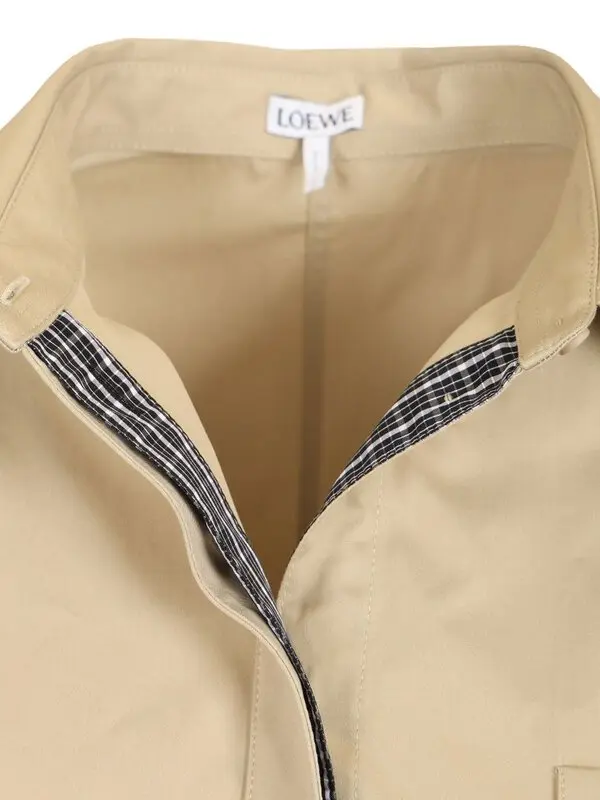 Loewe Cotton And Silk Dress