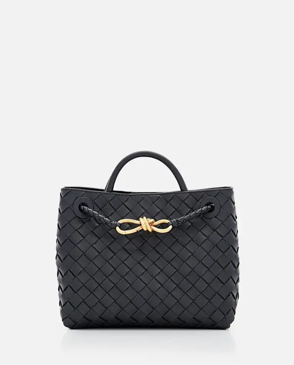 Bottega Veneta Andiamo Small Bag - Multicolor