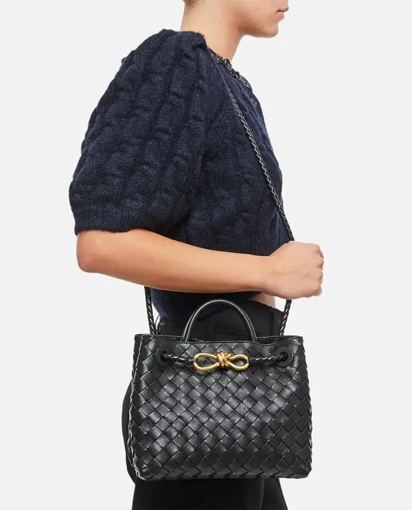 Bottega Veneta Andiamo Small Bag