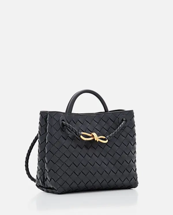 Bottega Veneta Andiamo Small Bag