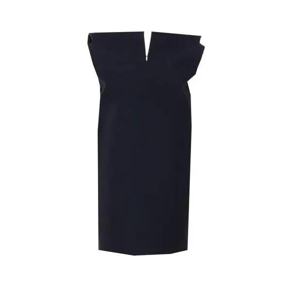 Balenciaga Vareuse Dress