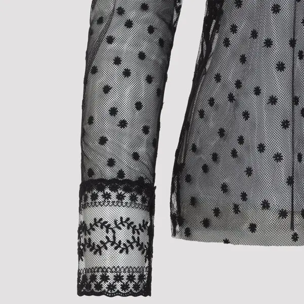 Alberta Ferretti L/s Pois Tulle Top