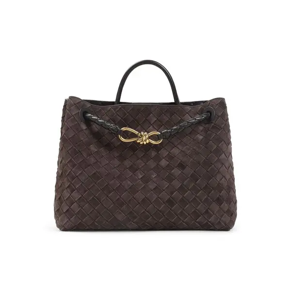 Bottega Veneta Andiamo Medium Bag - Brown