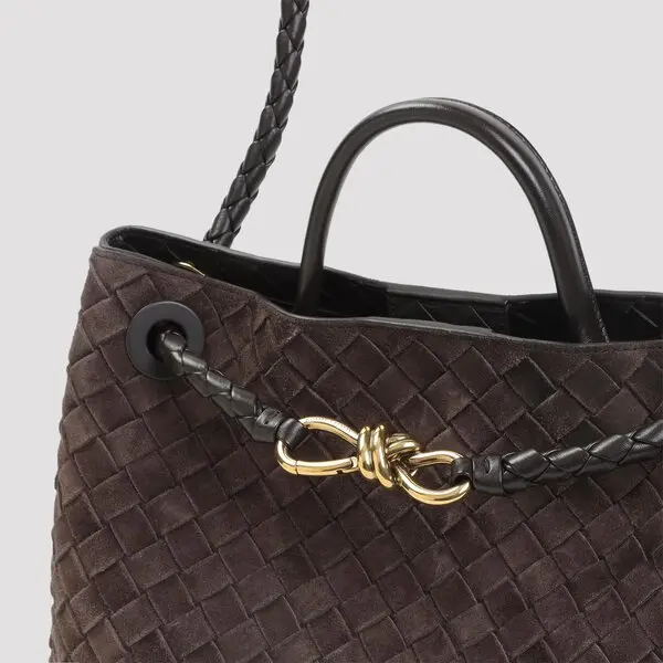 Bottega Veneta Andiamo Medium Bag