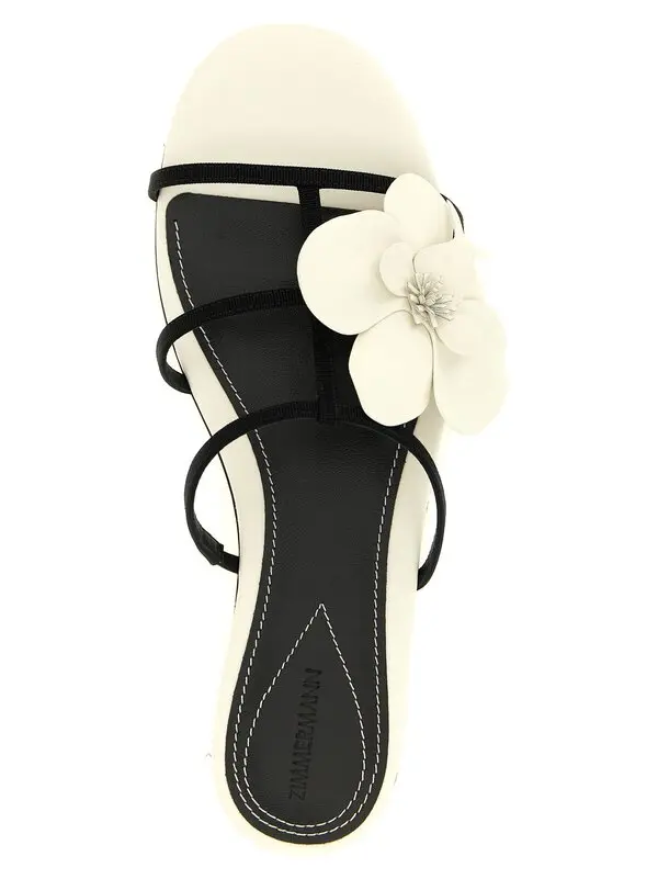 Zimmermann Orchid' Slides