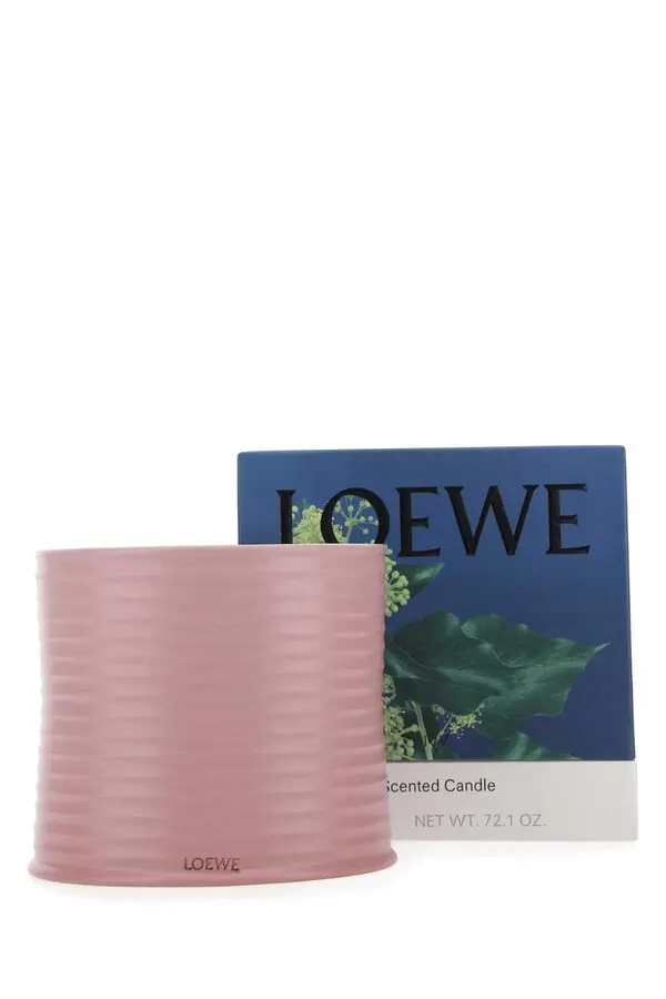 Loewe Large Ivy Scented Candle