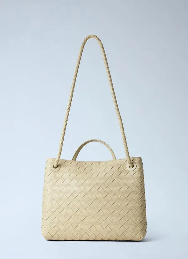Bottega Veneta Andiamo Medium Handbag