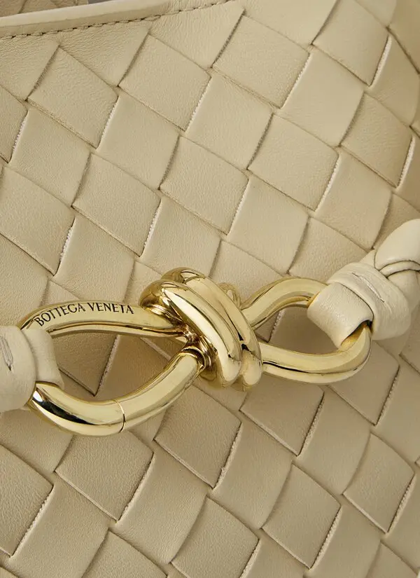 Bottega Veneta Andiamo Medium Handbag