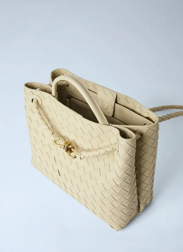 Bottega Veneta Andiamo Medium Handbag