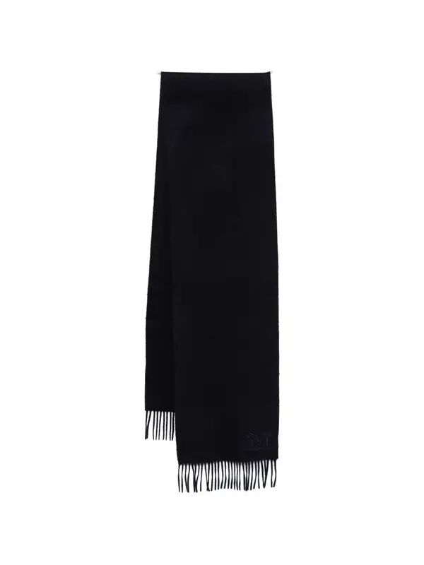 Max Mara Cashmere Scarf - Multicolor