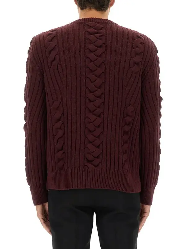 Alexander McQueen Wool Sweater - Multicolor