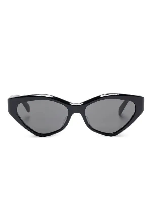 Celine Triomphe Sunglasses - Multicolor