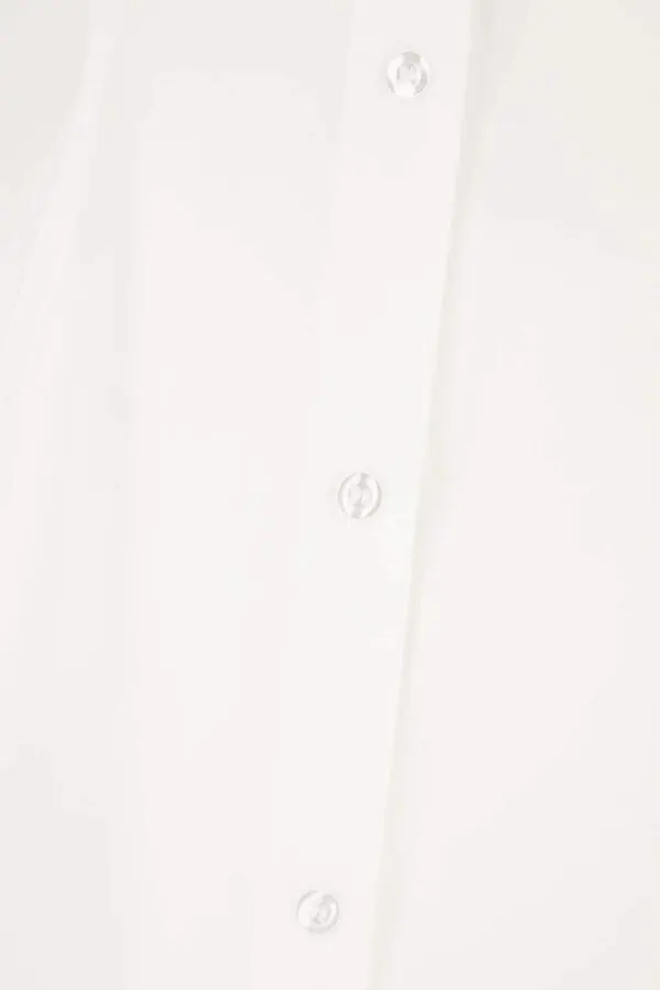 Sportmax Fitted Button-up Shirt - Multicolor