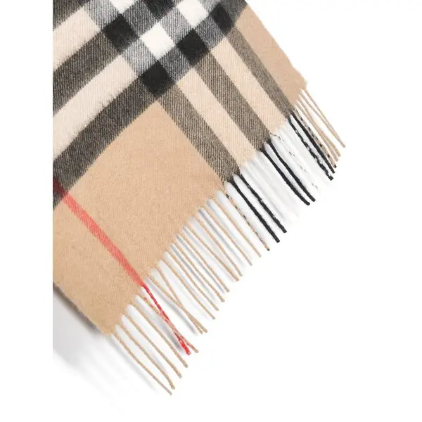 Burberry Neutrals Scarves