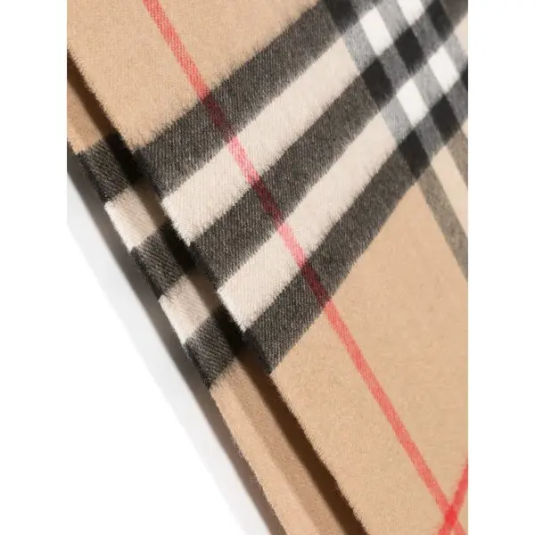 Burberry Neutrals Scarves