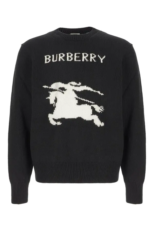 Burberry Clothing Knitwear - Multicolor