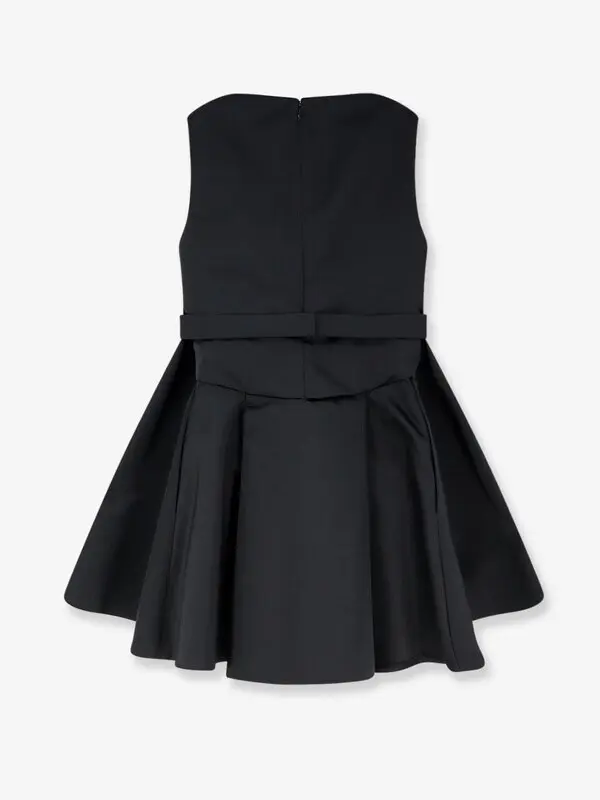Alexander McQueen Taffetã  Dress