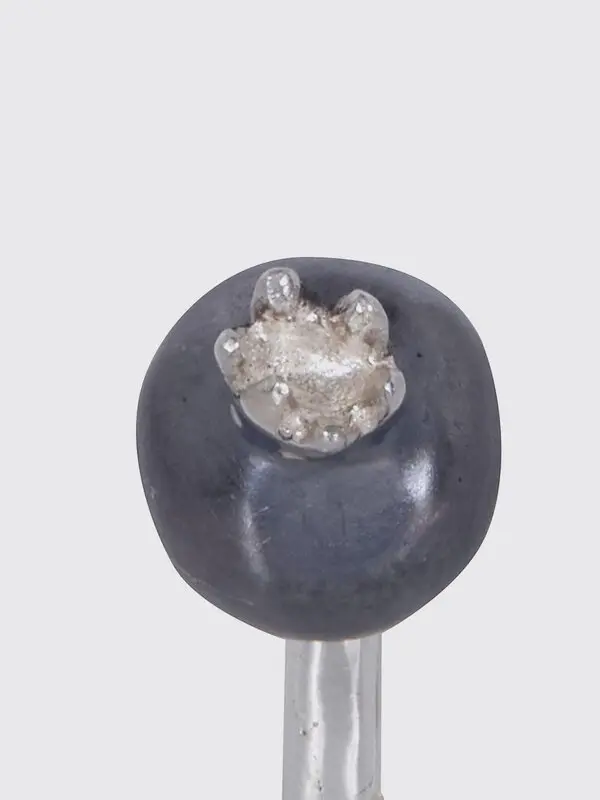 ROSA MARIA Chromed Ring