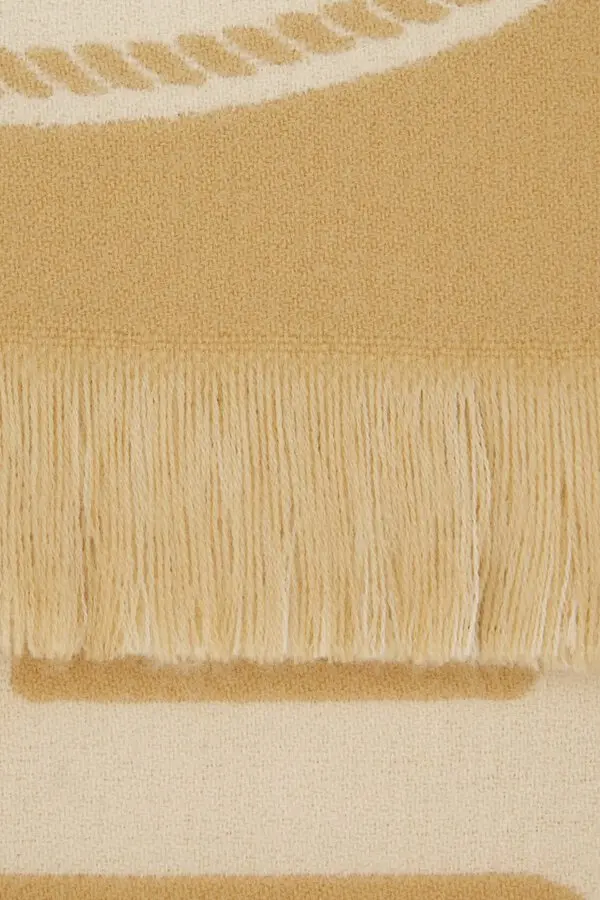 Burberry Accessories Scarves & Shawls - Multicolor